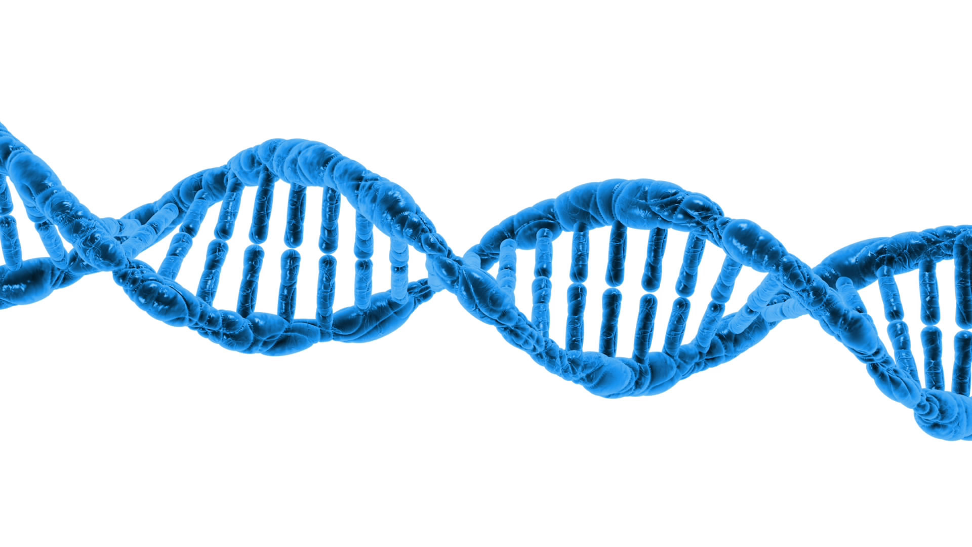 Protecting Your Privacy on Ancestry | The Handwritten Past